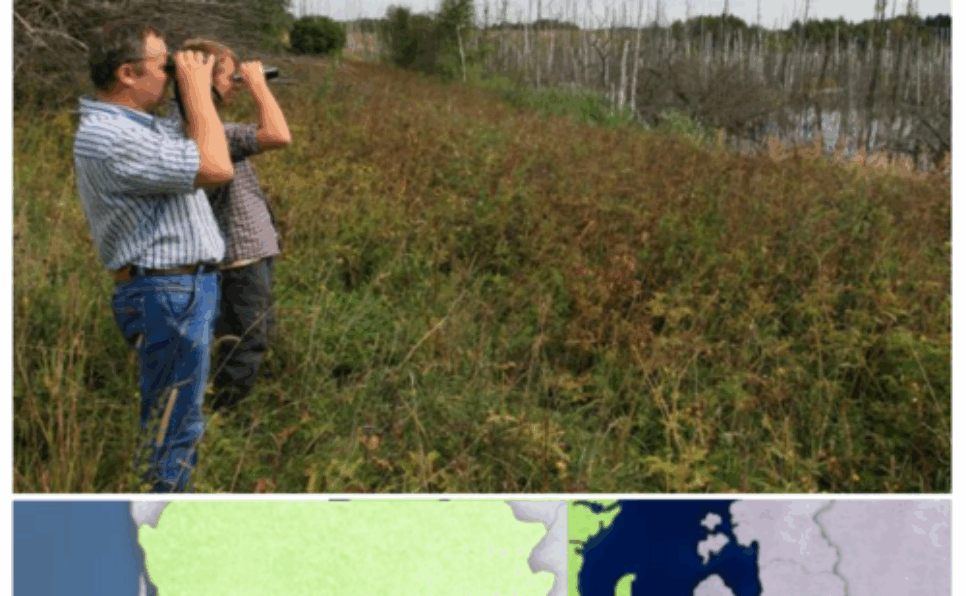 Wildlife Protection Along the LitPol Link Route - Renewables Grid ...