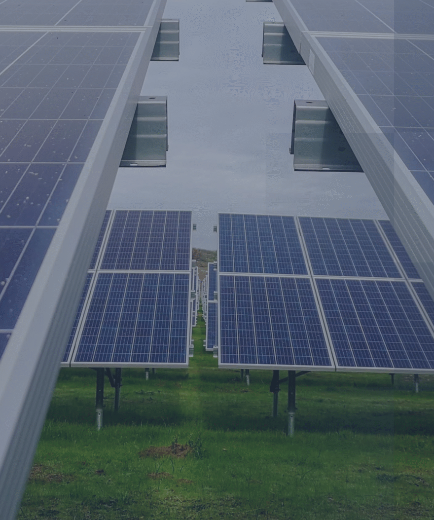Integrated vegetation management - Renewables Grid Initiative