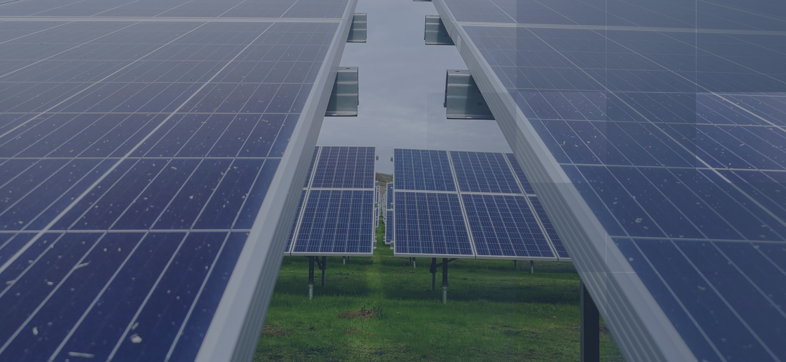 Solar Ecosystems - Restoring nature alongside solar power - Renewables ...