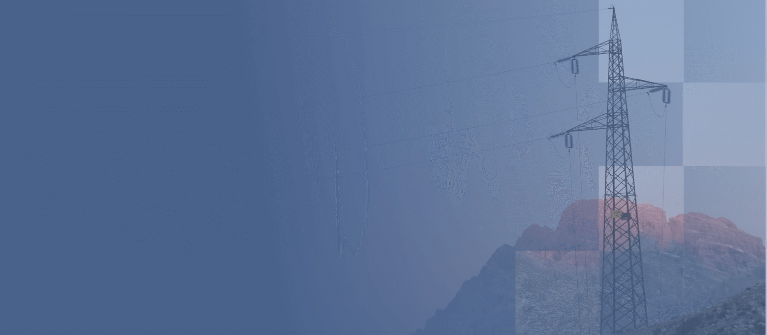 Need for Grids Video: Adaptation & Resilience - Renewables Grid Initiative