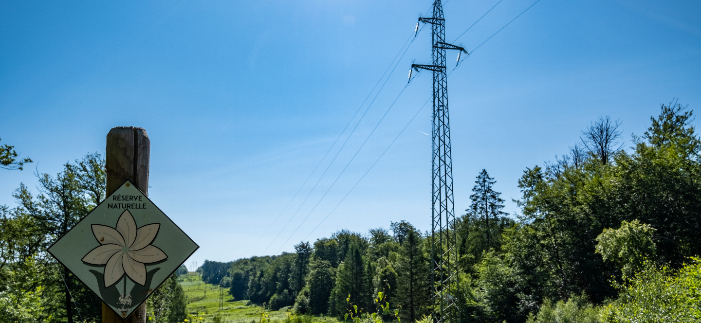 RGI welcomes new Member France Nature Environnement - Renewables Grid ...