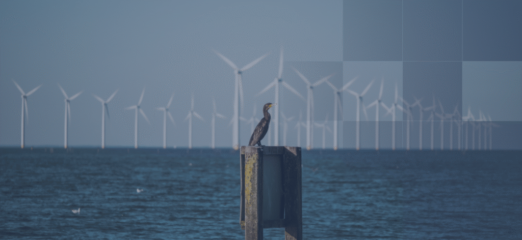 Rgi Mini Workshop To Share Best Practices Permitting Consultation And Environmental