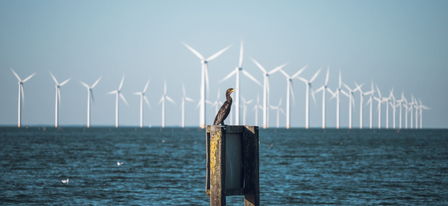 RGI mini-workshop to share best practices: "Permitting, consultation ...