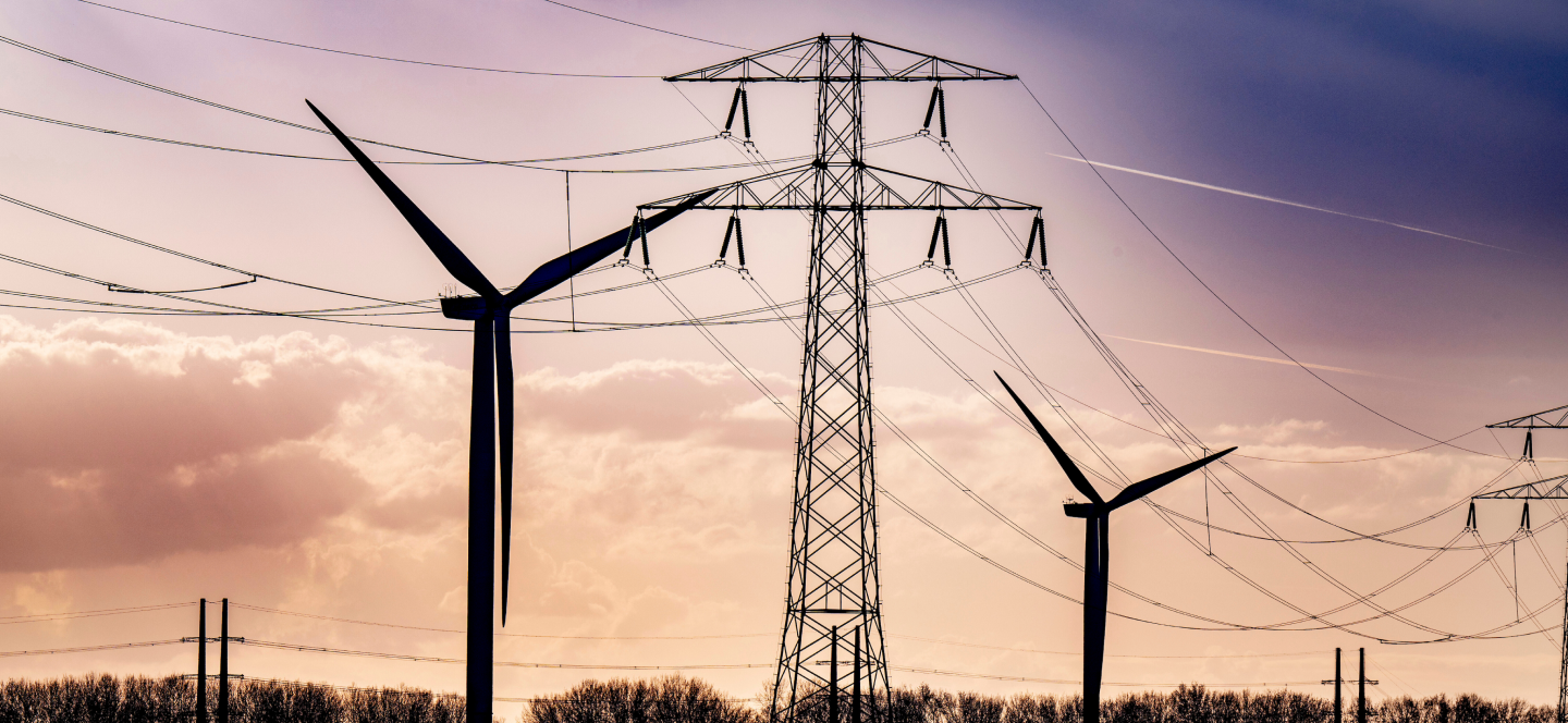 Elering’s e-Gridmap: How can digitalisation optimise investment ...