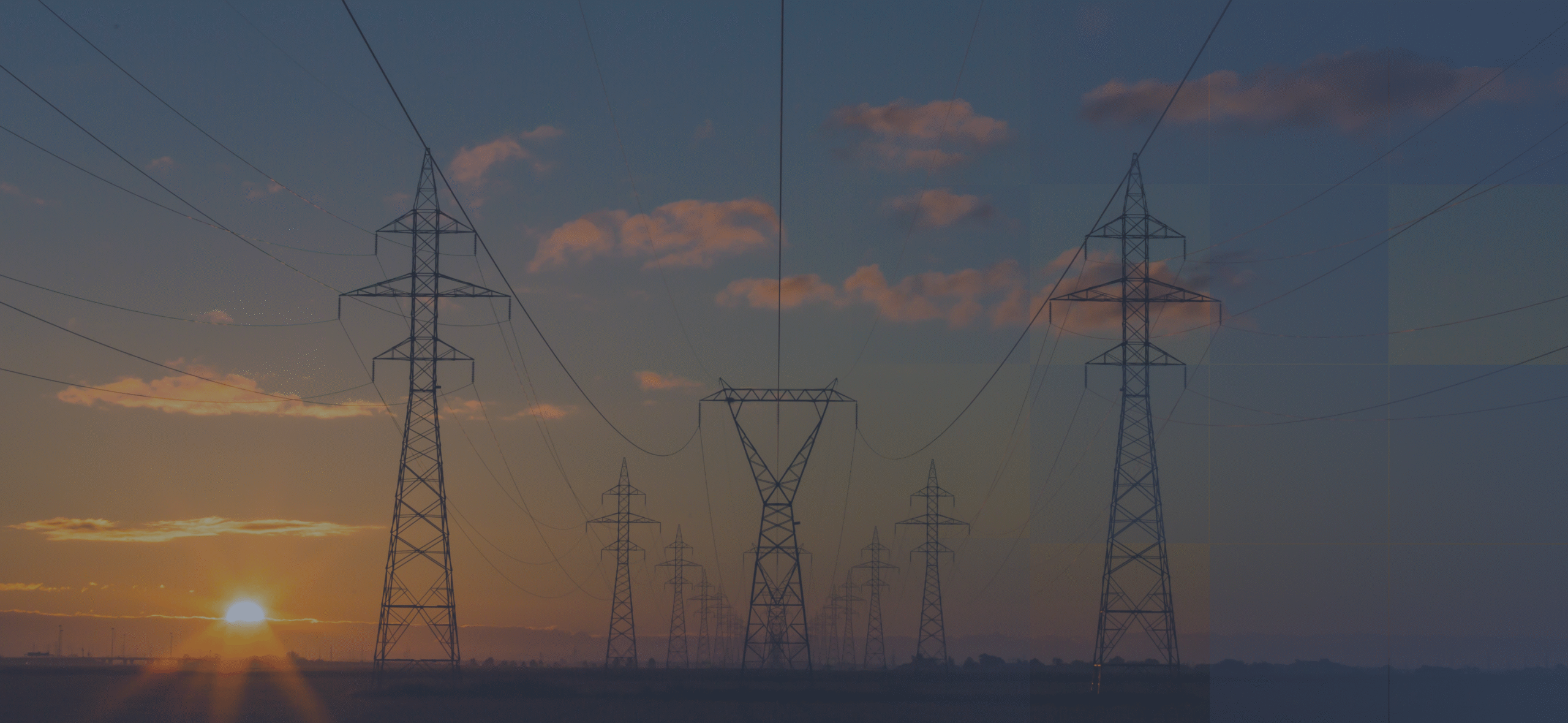 Video: Why do we need electricity grids? - Renewables Grid Initiative