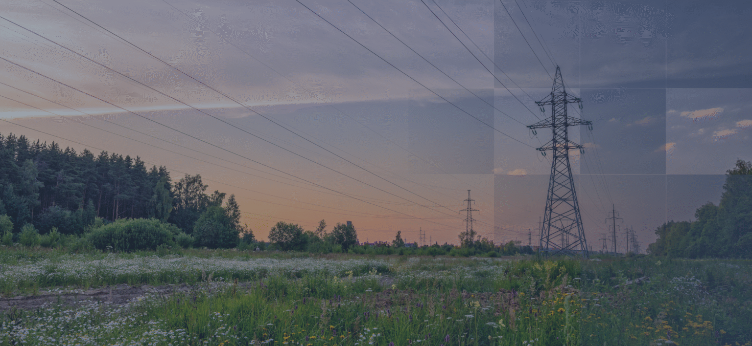 Integrated Vegetation Management through resilient and compatible flora ...