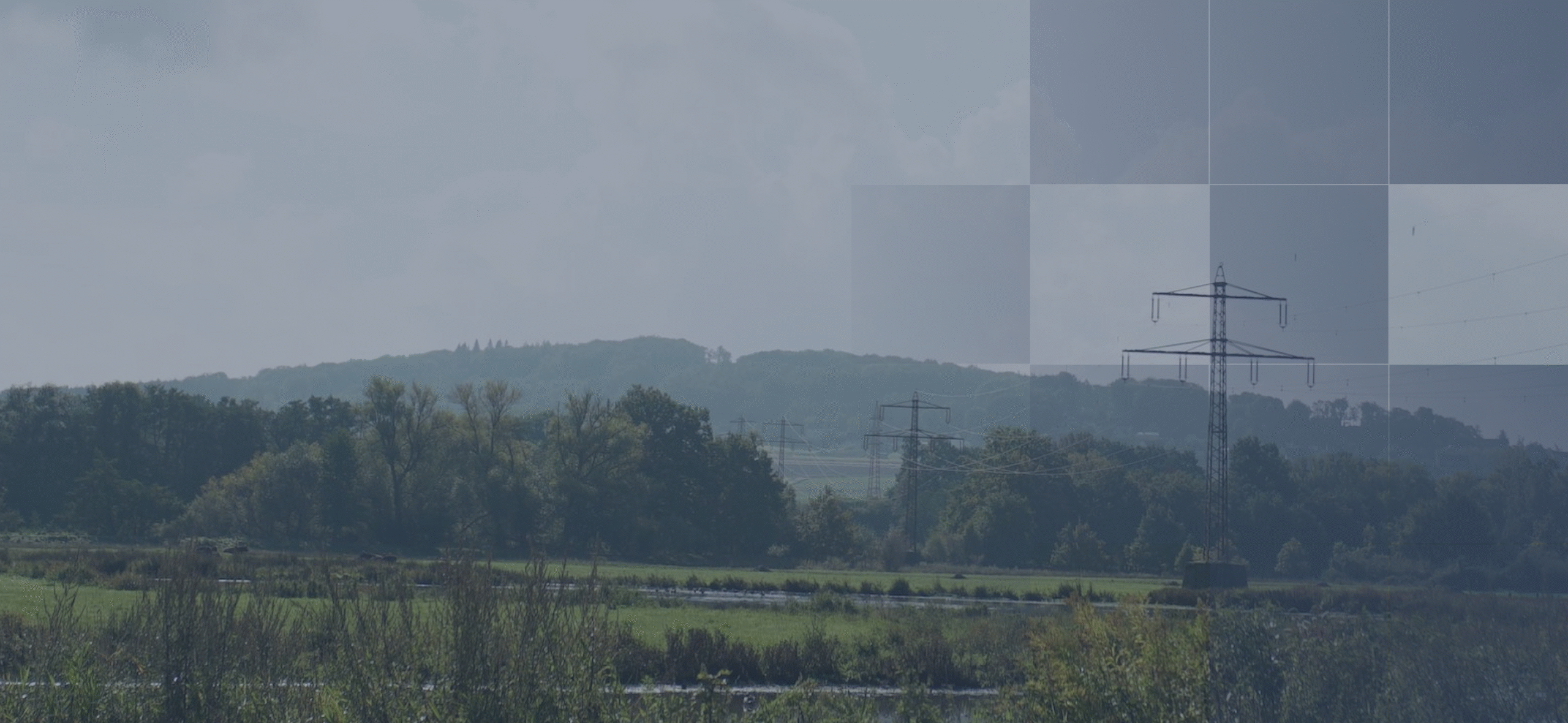 Best Practice Guide: Integrated Vegetation Management (IVM) in Europe ...