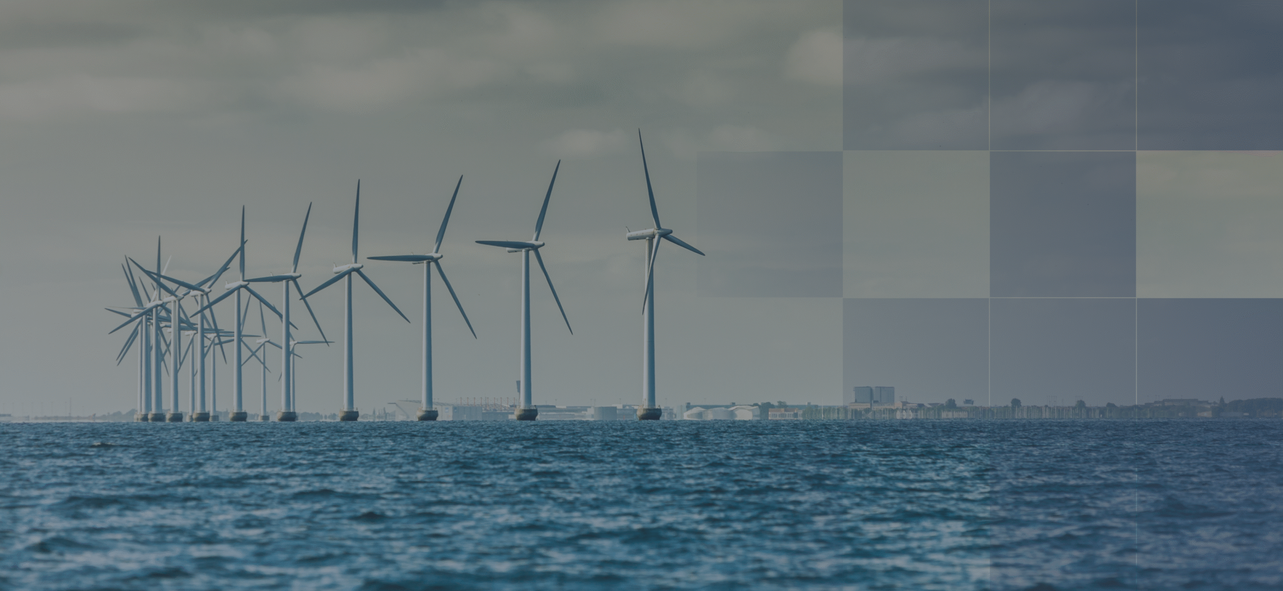 RGI-IUCN Conference: Optimising Energy and Empowering Nature - Renewables Grid Initiative