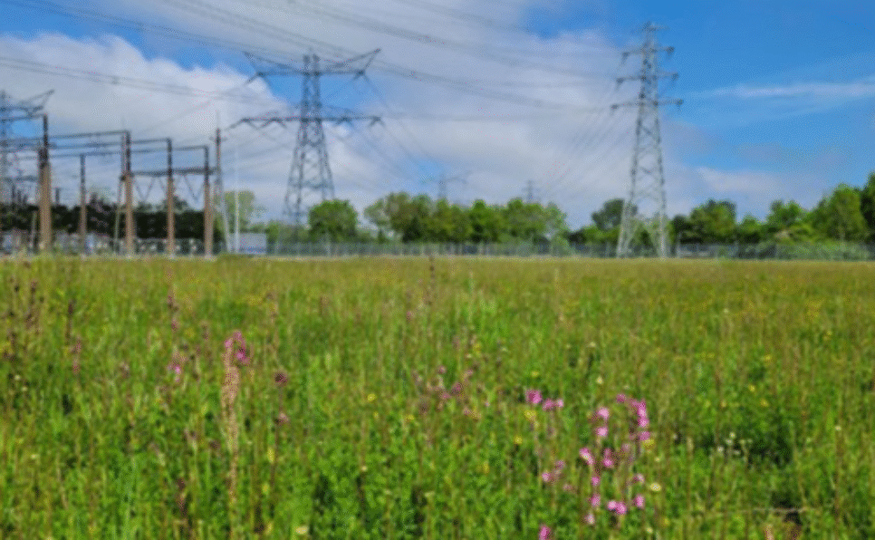 TenneT Archives - Renewables Grid Initiative
