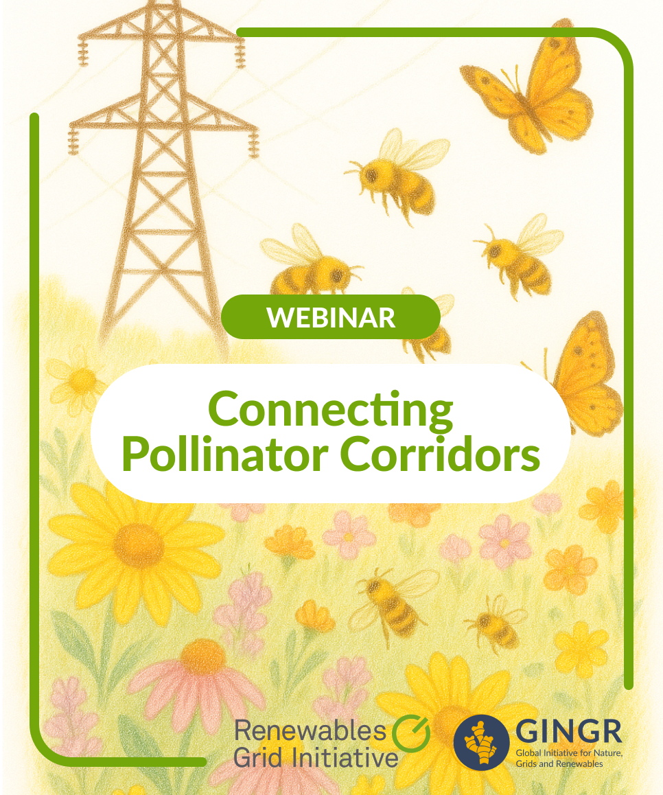 Connecting Pollinator Corridors - Renewables Grid Initiative