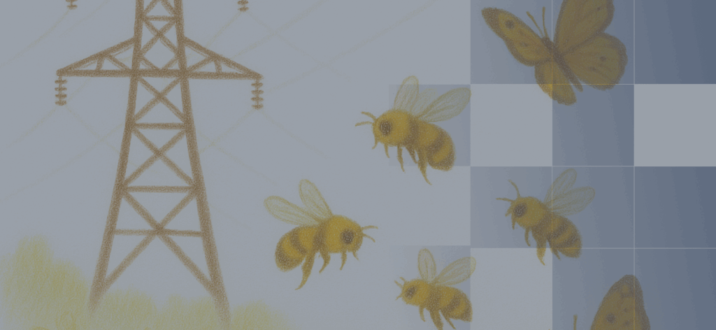 Connecting Pollinator Corridors: Using evidence and monitoring to ...