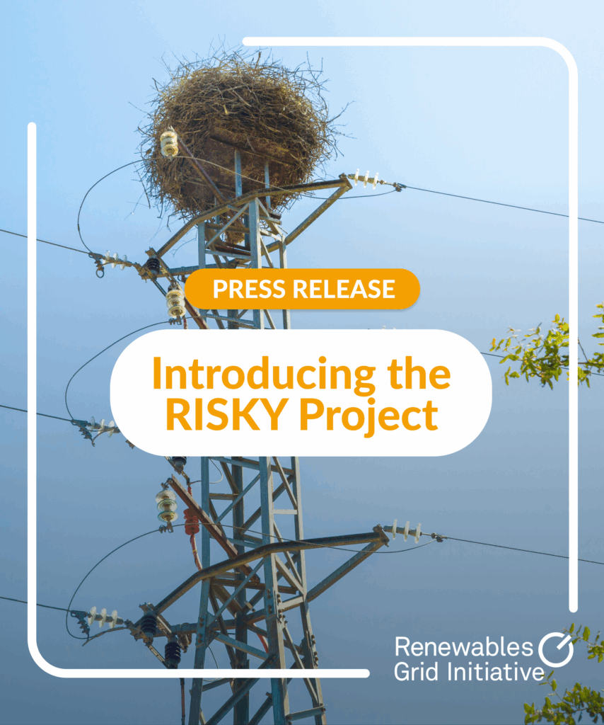 Introducing RISKY – A new global database for infrastructure mortality ...
