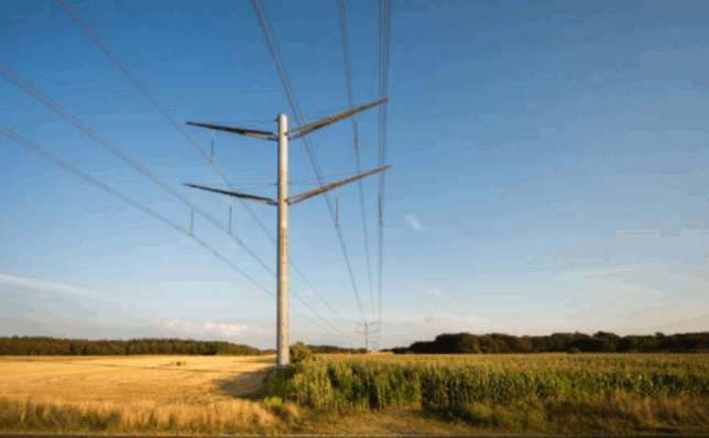 Eagle Pylon - Renewables Grid Initiative