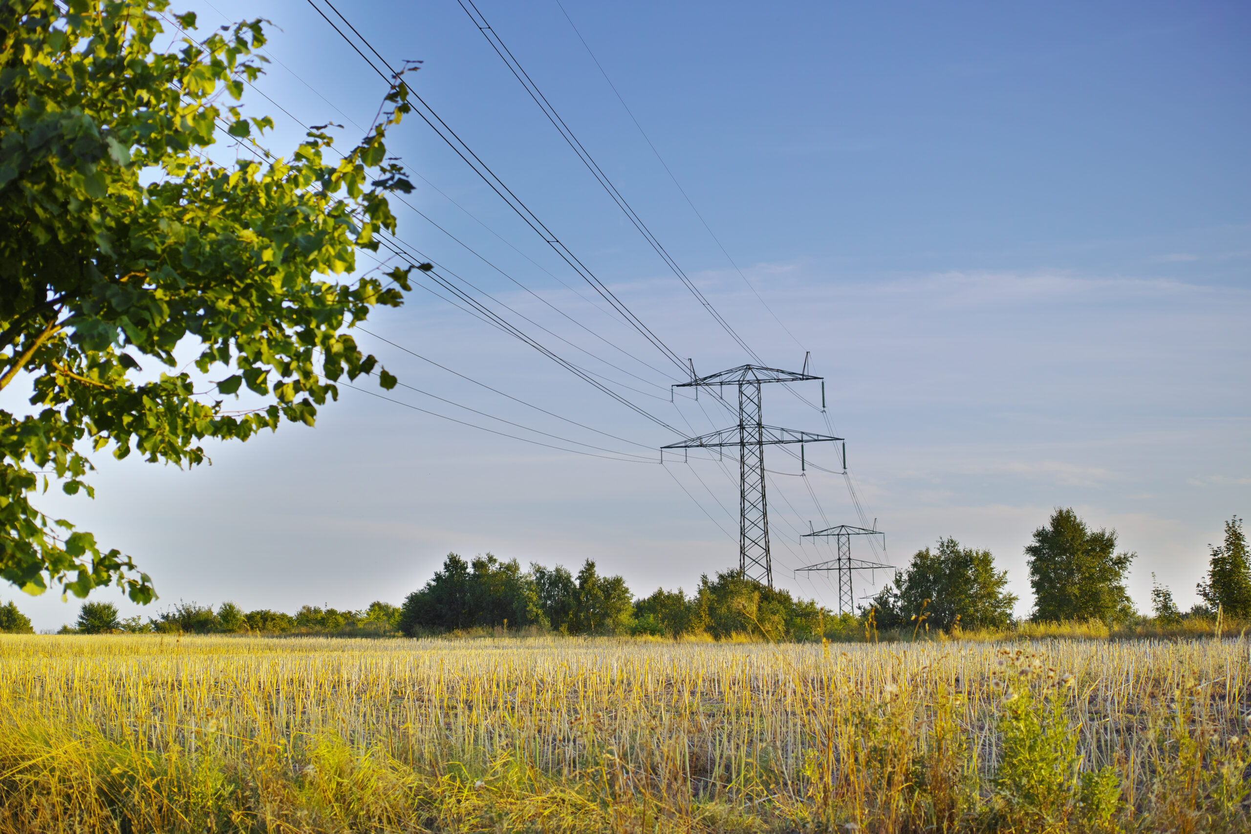 Factsheets on onshore energy & nature best practices: Case Study ...